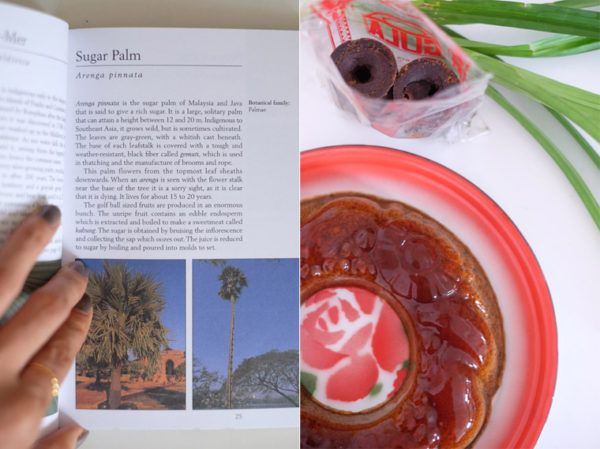 Palm Sugar (Gula Melaka) - New Malaysian Kitchen
